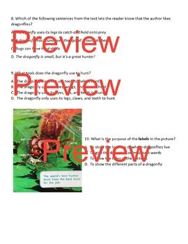 Tiny But Fierce Comprehension Questions Editable By Classyandsassyin Rd