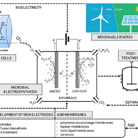 Comprehensive Scheme Of Electro Biorefineries For The Production Of Download Scientific Diagram