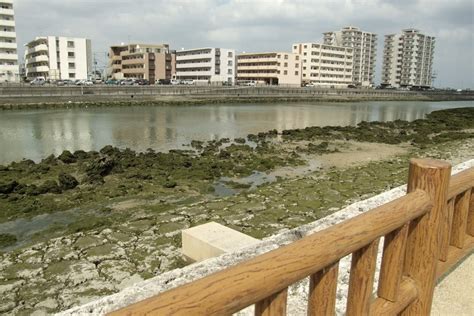 与那原町西原町南城市 沖縄島の写真
