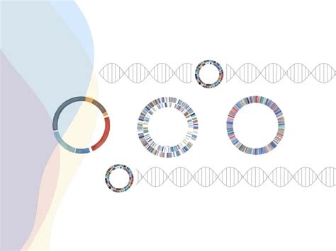 Plasmid Dna Structure Function Isolation And Applications