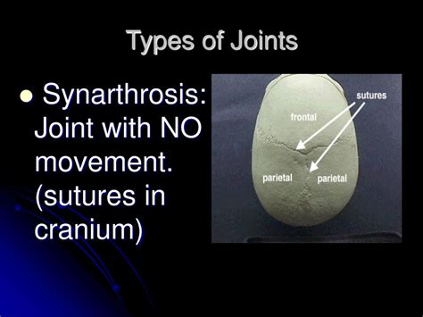 Articulations Aka Joints Ppt Download
