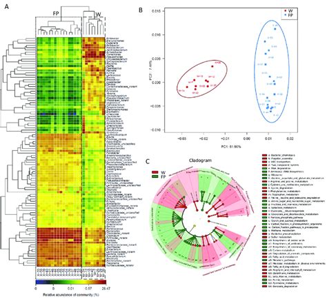 The Functional Analysis Using 24 Metagenomes 8 From W Population And Download Scientific