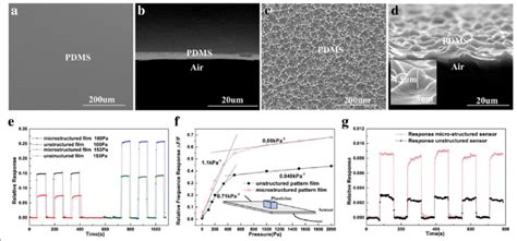 A D SEM Image Of Top View A And Side View B Of Unstructured PDMS Download Scientific