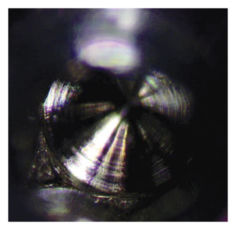 Exaktus® Screw Magnification Analysis A Screw Head B Inside Screw