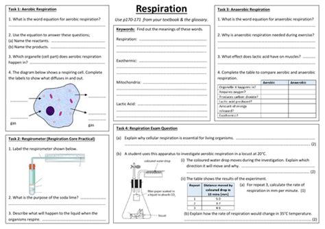 Sb8e Respiration A3 Sheet Edexcel Single Biology Gcse Teaching Resources