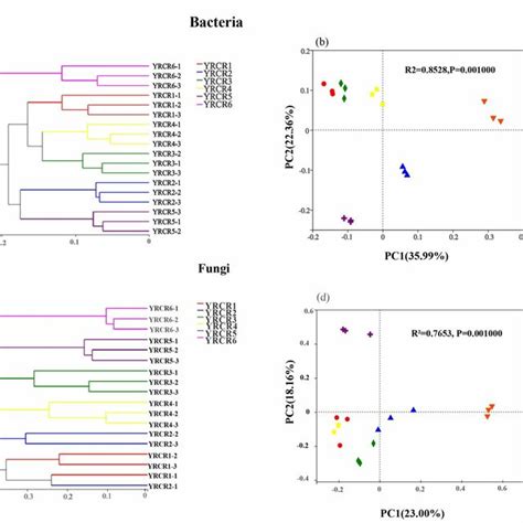 A Is Hierarchical Clustering Tree Of Bacterial On Otu Level B Is