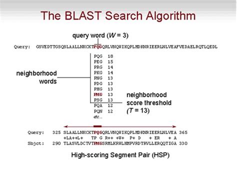Blast Glossary Blast® Help Ncbi Bookshelf