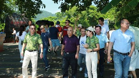 海南省旅遊和文化廣電體育廳呀諾達景區檢查國慶旅遊工作 每日頭條