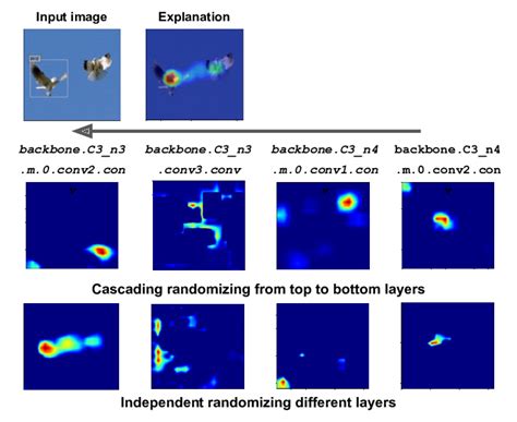 Results Of Sanity Check With Yolox Ls Parameters Download Scientific