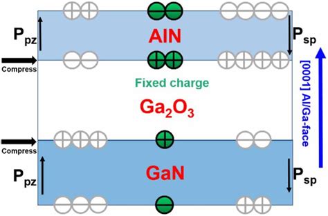 Polarization Charge Distribution Schematic Of Pidfet Alnβ Ga2o3gan