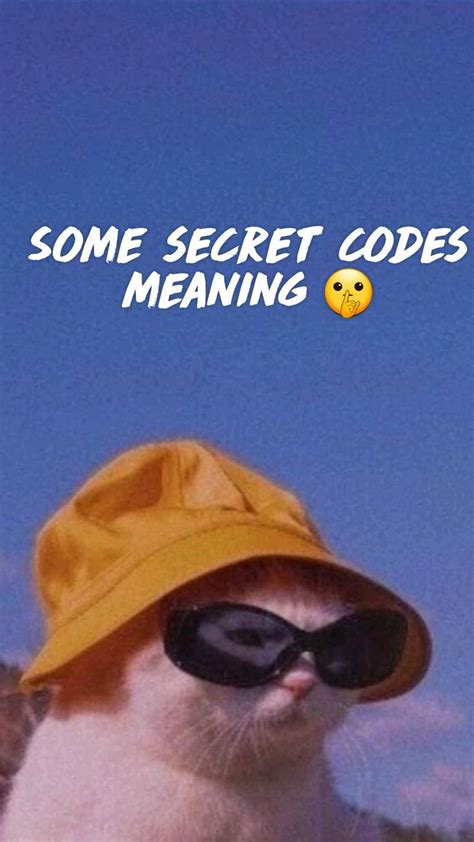 Some Secret Codes Meaning 🤫 Secret Code Coding Coding Quotes