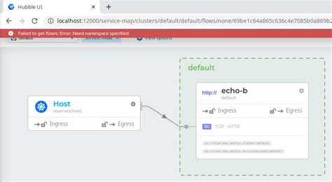 Hubble Ui Shows An Error Failed To Get Flows Error Need Namespace