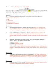 Pre Lab Factors Affecting Enzyme Activity Pdf Name Lab Day Tuesday Lab Time