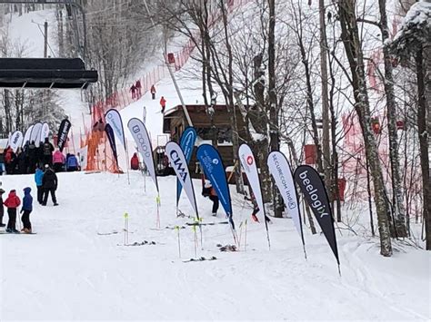 beelogix on linkedin beelogixcan