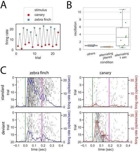 Schematic Illustration Of Neural Oscillation Oscillatory Magnitude Download Scientific