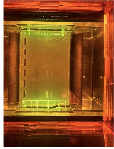 Blood Lab Tasks Flashcards Quizlet