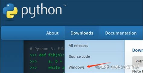 2025最新python安装与环境配置，超详细保姆级入门教程，python入门必备 知乎