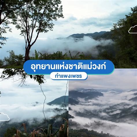 ☁️ชวนกันไปเที่ยว ‘ทะเลหมอกหน้าฝน แกลเลอรีที่โพสต์โดย Sale Here Lemon8