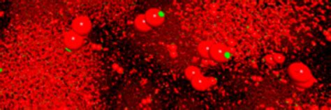 Molecular Dynamics Visualization Institute For Visualization And Interactive Systems