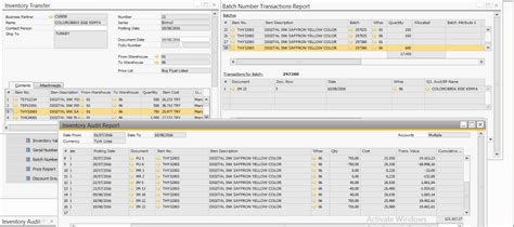 Inventory Audit Report Shows Multiple Sap Community