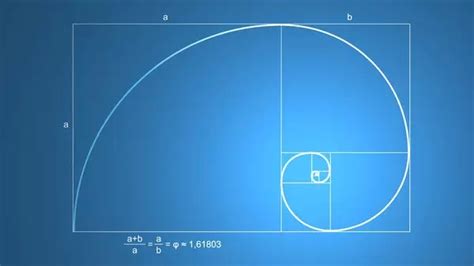 数学螺旋图 螺旋数学 三年级优秀数学报 大山谷图库