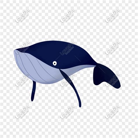 만화 손으로 그려 Q 버전 고래 일러스트 레이션 Png 일러스트 무료 다운로드 Lovepik