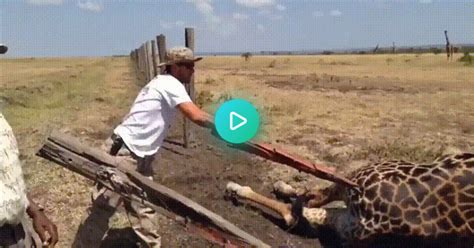 Imgur Engineers Today  On Imgur