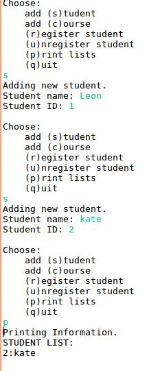 C Printing All Members Of A Struct Stack Overflow