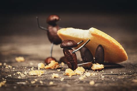 쿠키 나 비스킷 커피 콩 그림은 나무 소박한 테이블에 커피 휴식을 가지고있다 갈색에 대한 스톡 사진 및 기타 이미지 갈색 개념 개념과 주제 Istock