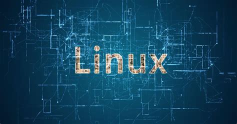 Comment Faire Un Ping Sous Linux Guide Complet Dutilisation Et Options