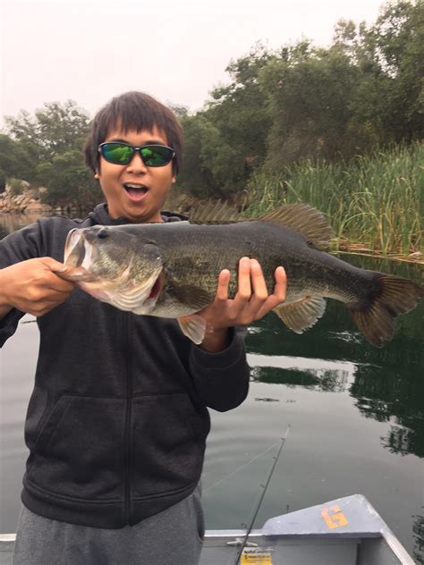 55 Lb Largemouth Caught A Month After Getting Into Bass Fishing R