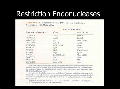 Ppt Digesting Dna With Restriction Endonuclease Powerpoint