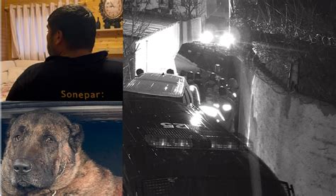 50 Forca Të Fnsh Dhe Renea Zbarkojnë Në Banesën E Vëllait Të Eljon Hatos Elkieri I Revoltuar