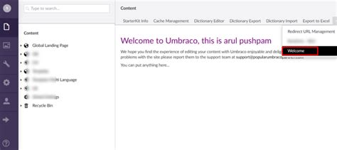 Creating A Custom Dashboard In Umbracov 700 By Arulpushpam Medium
