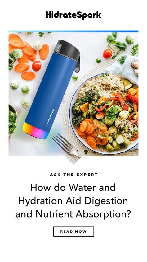 Water And Hydration Boosting Digestion And Nutrient Absorption