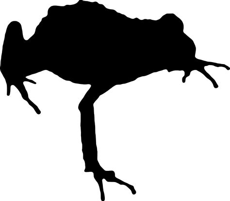 Eleutherodactylus Nitidus By Jose Carlos Arenas Monroy Cc0 1 0 Phylopic