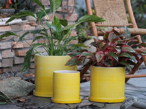 Easter Lily Ombre Planter Modern Ceramic Indoor Pot Plantatorem