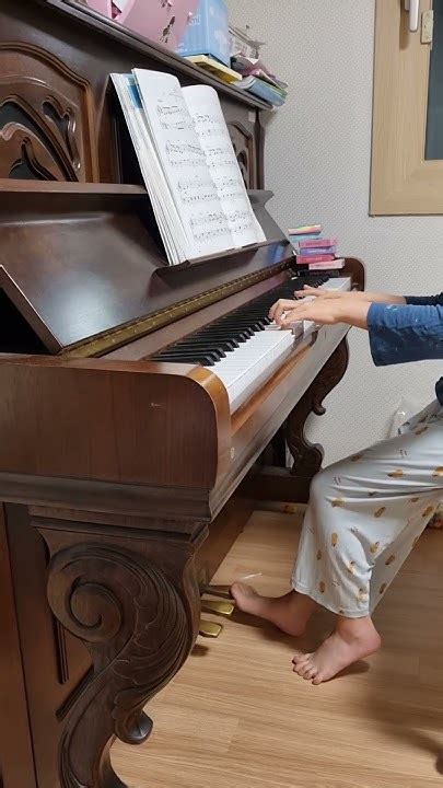 이웃집 토토로 피아노 치즈 언니 Youtube