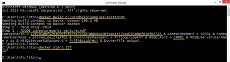 An Introduction To Sql Server Containers Sqlservercentral