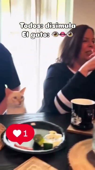 Desarrollodesitioswebresponsivos Youtube