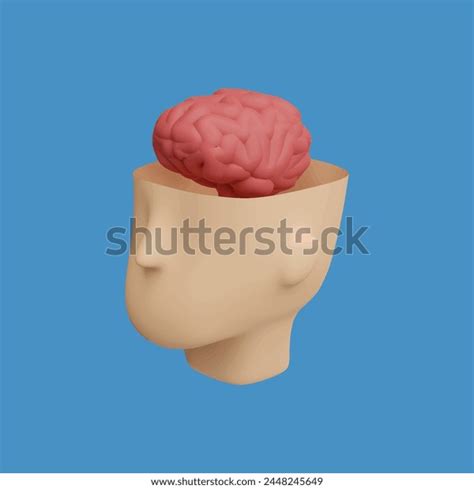 Anatomy Human Concept Realistic 3d Object Stock Vector Royalty Free