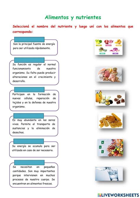 Alimentos Y Nut Free Interactive Worksheets 995139