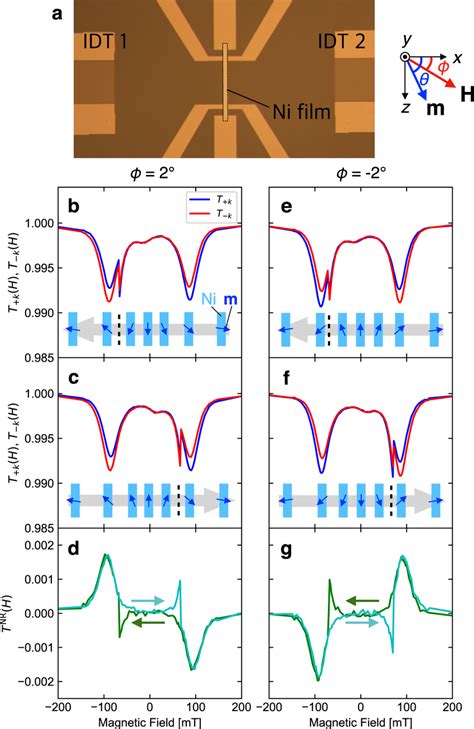 Nonreciprocal Saw Propagation A An Optical Micrograph Of The Saw Device