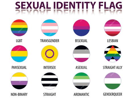 Premium Vector Set Of Flags Of Lgbt Symbols In A Circle Sexual