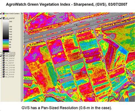 Green Vegetation Index Sample Satellite Images Satellite Imaging Corp
