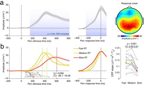 Condition Average Cpp A Stimulus And Response Locked Cpp Waveforms Download Scientific
