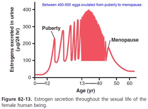 Sex Steroids And Hormone Replacement Therapy Flashcards Quizlet