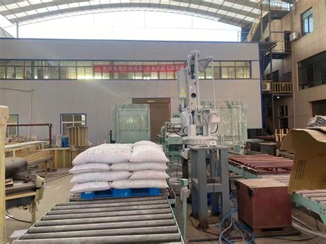 China Tengyang Intelligent Industrial Robot Arm Palletizing Robot