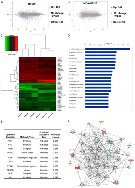 RNA Seq Analysis Of The Stable Breast Cancer Cells After DHX36