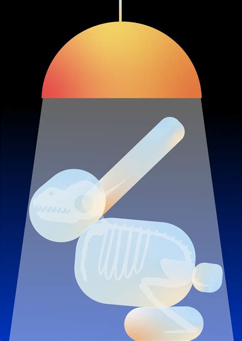 Студенческое портфолио Как искусственный свет отравляет планету